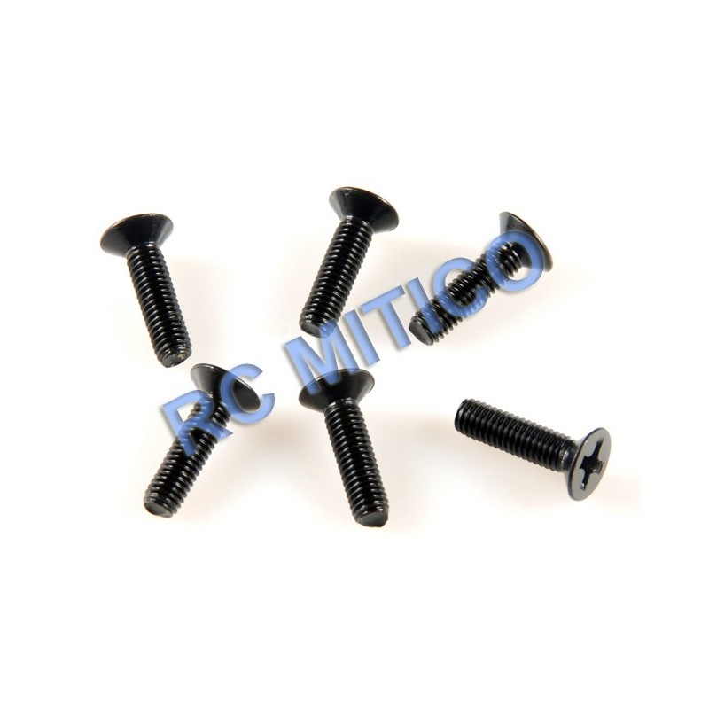 09141 - Flat Head Screw 3x10 - 6 Uds.
