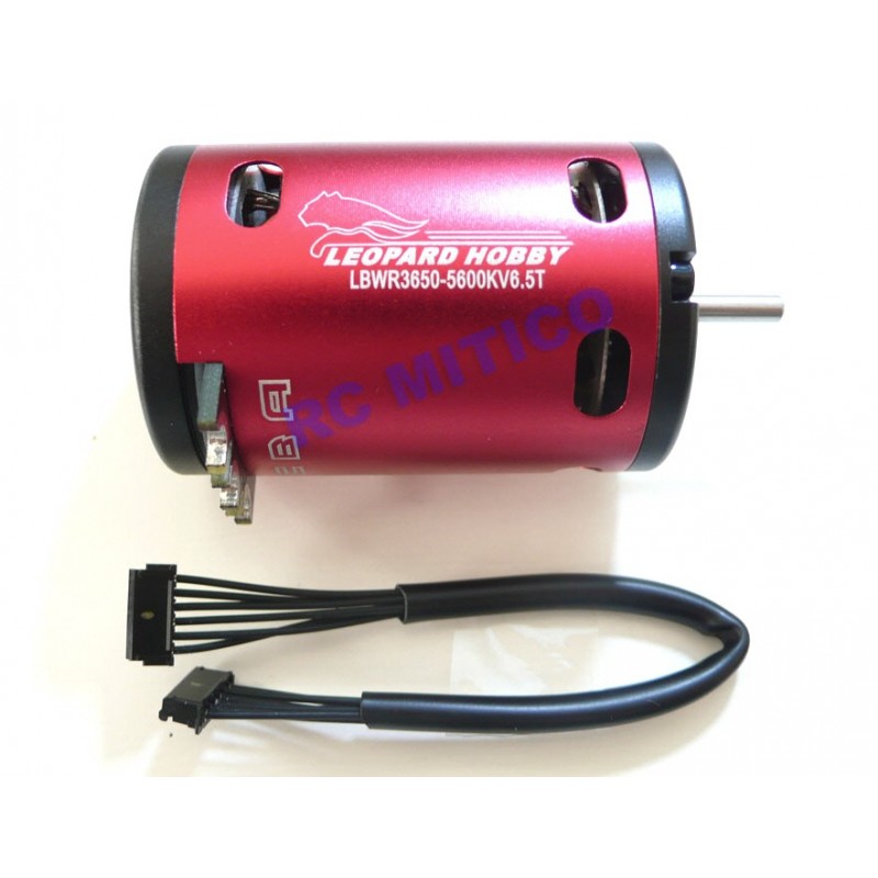 Motor Brushless CON SENSORES 3650/6.5T - 5600 KV