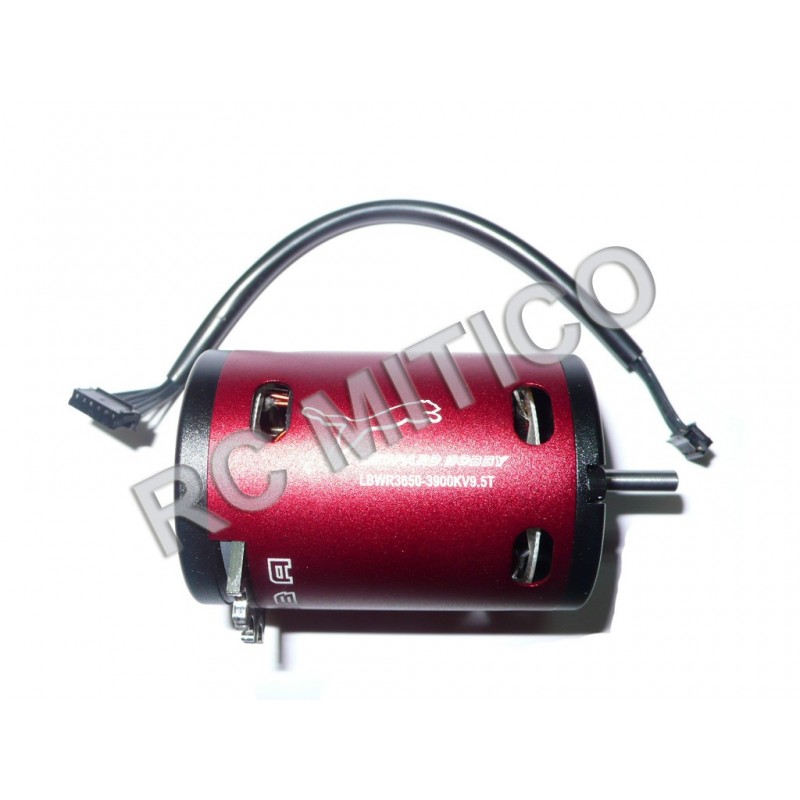 Motor Brushless CON SENSORES 3650/9.5T - 3900 KV